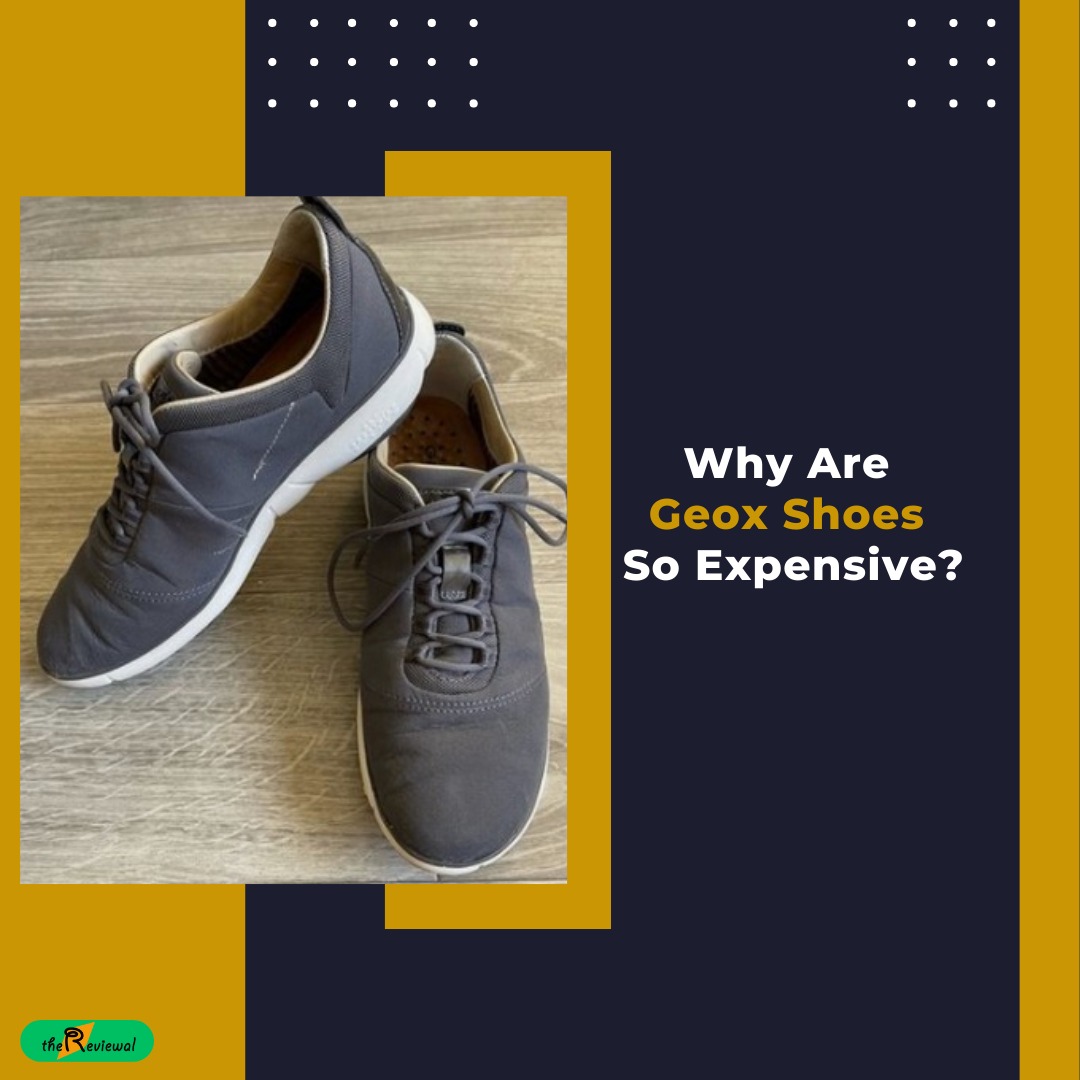 Decoding the Price Tag: Why Are Geox Shoes So Expensive? (Top 6 Reasons ...